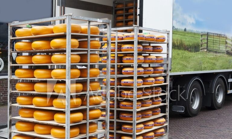 What You Need To Know About Safely Transporting Dairy